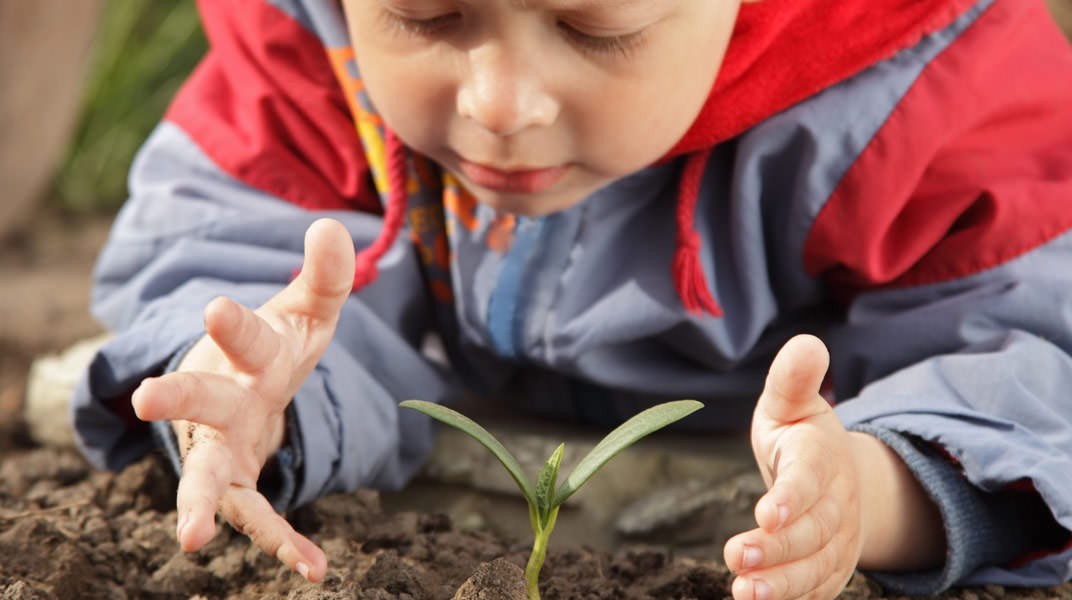 Gardening for kids - Cbeebies