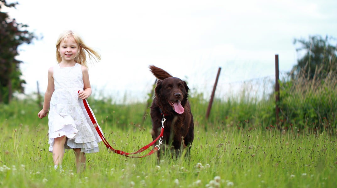 Children and pets - Cbeebies