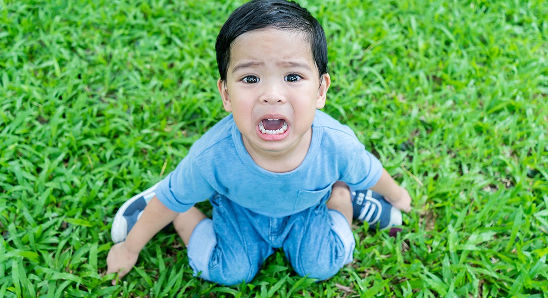 Toddlers and tablets: ten first steps - Cbeebies
