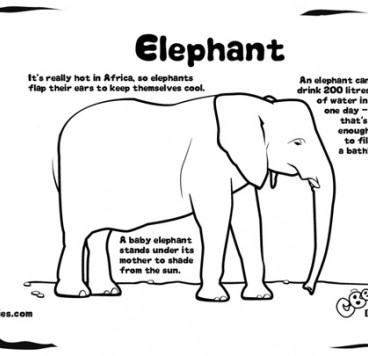 Colour in an elephant - Cbeebies